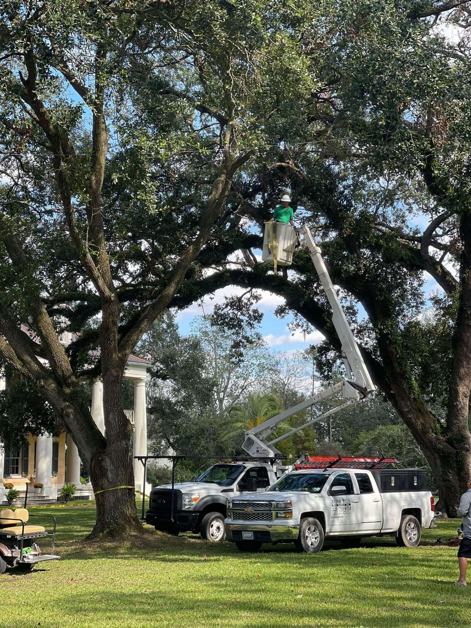 Arbor Tech Tree Service Projects - Professional Tree Removal Company ...
