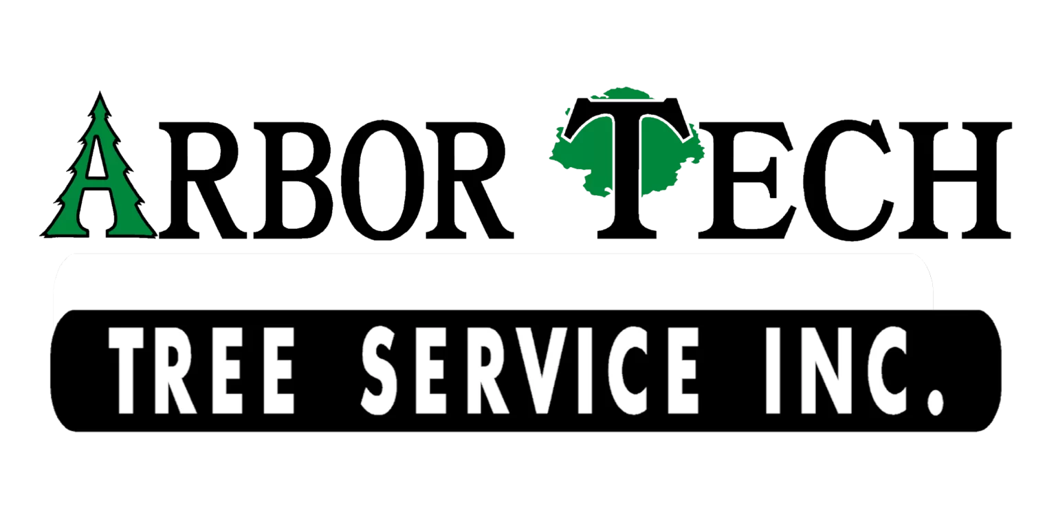 Arbor Tech: Baton Rouge Tree Removal Experts | Licensed & Insured Tree ...